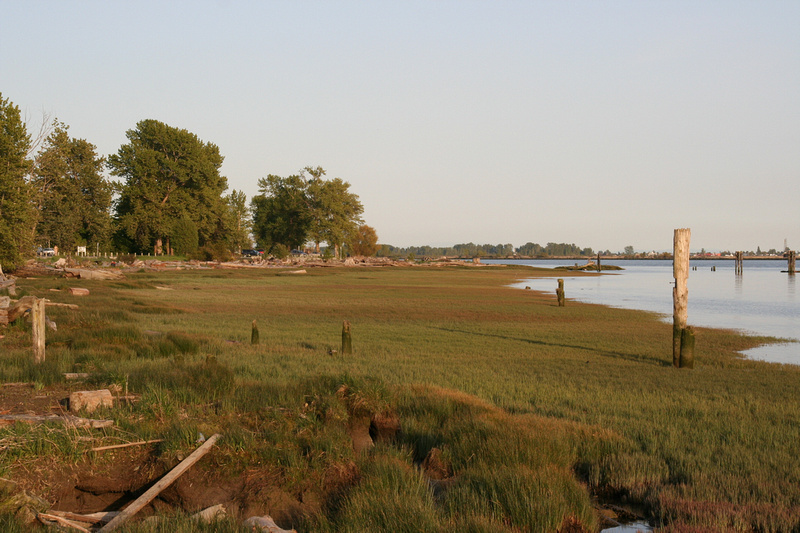 Find a Park - South Dyke Trail - City of Richmond BC